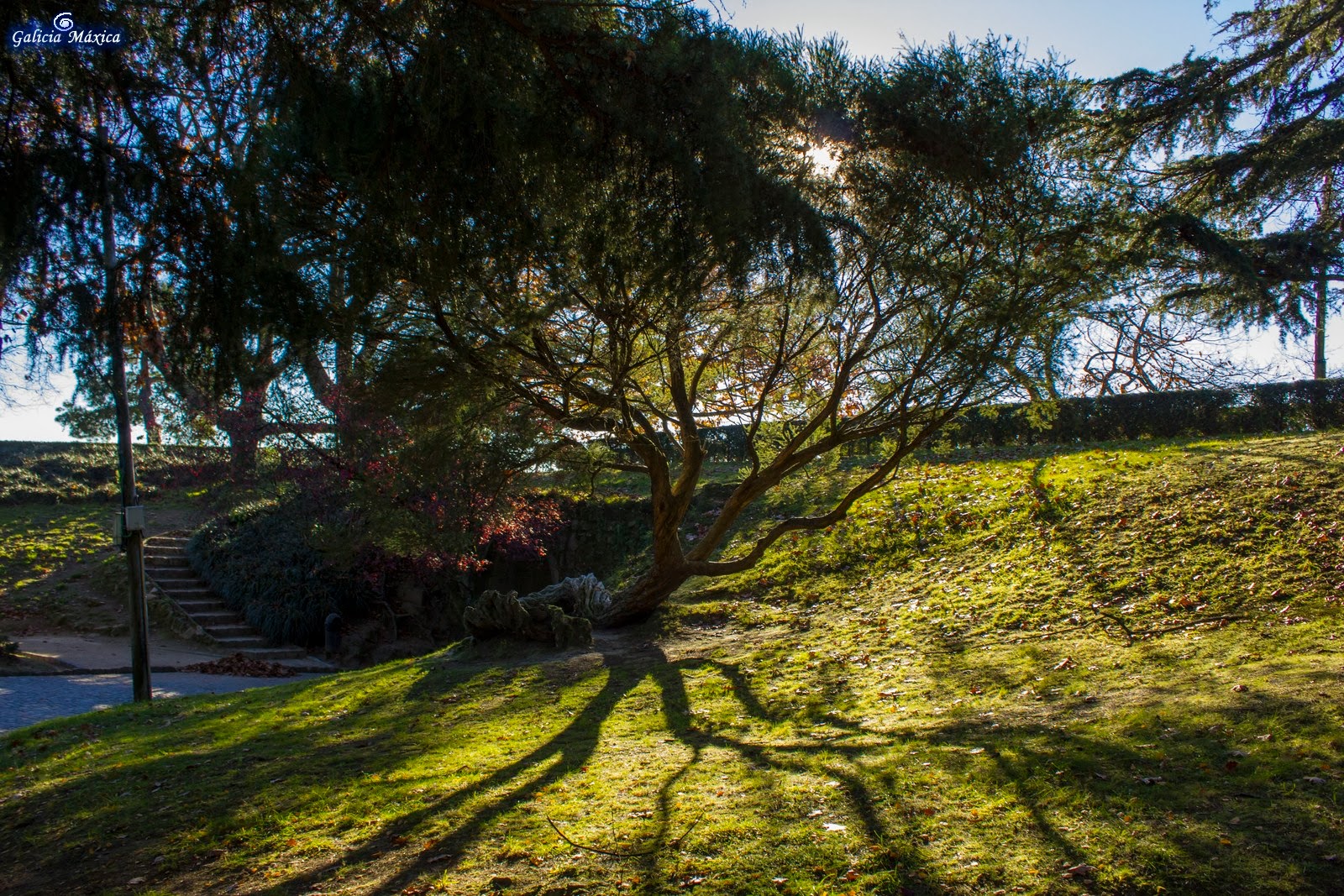 Los grandes parques de Vigo: Castrelos y el Castro