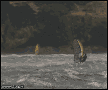 Introducing the New Gifs: Windsurfing Flight