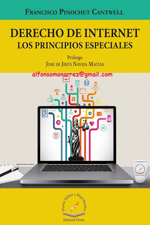 LIBROS EN DERECHO: DERECHOS DE INTERNET los principios especiales LIBROS EN DERECHO: DERECHOS DE INTERNET los principios especiales