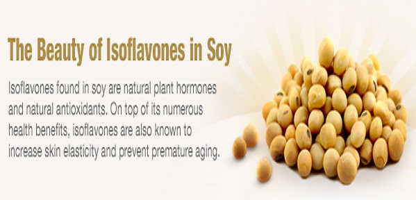 Good Health & Nutrition by Odra: Soy Protein: Contains High Amounts of ...