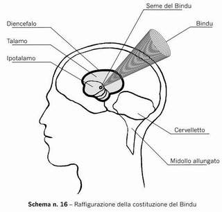 Perceive Believe - The Idiot's Guide to Taoist Alchemy Qigong,...