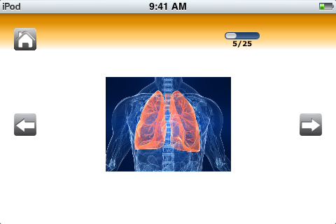 Naming TherAppy App! - Speech Time Fun: Speech and Language Activities