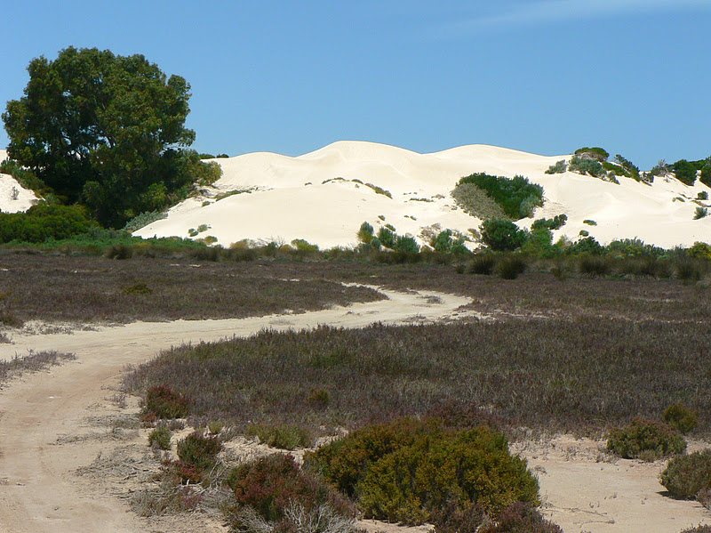 ournomadicways: Kalgoorlie, The Nullabor & The Eyre Peninsula to ...