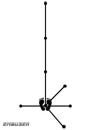 Karate Questions and Answers: What is the purpose of the embusen line ...