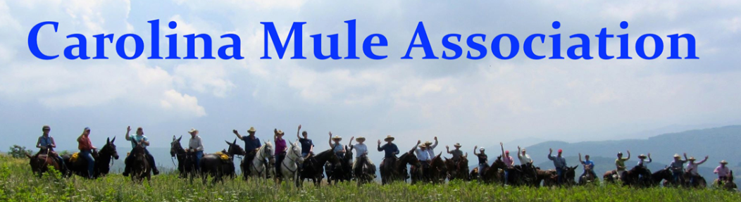 Carolina Mule Association: Mule Hall of Fame