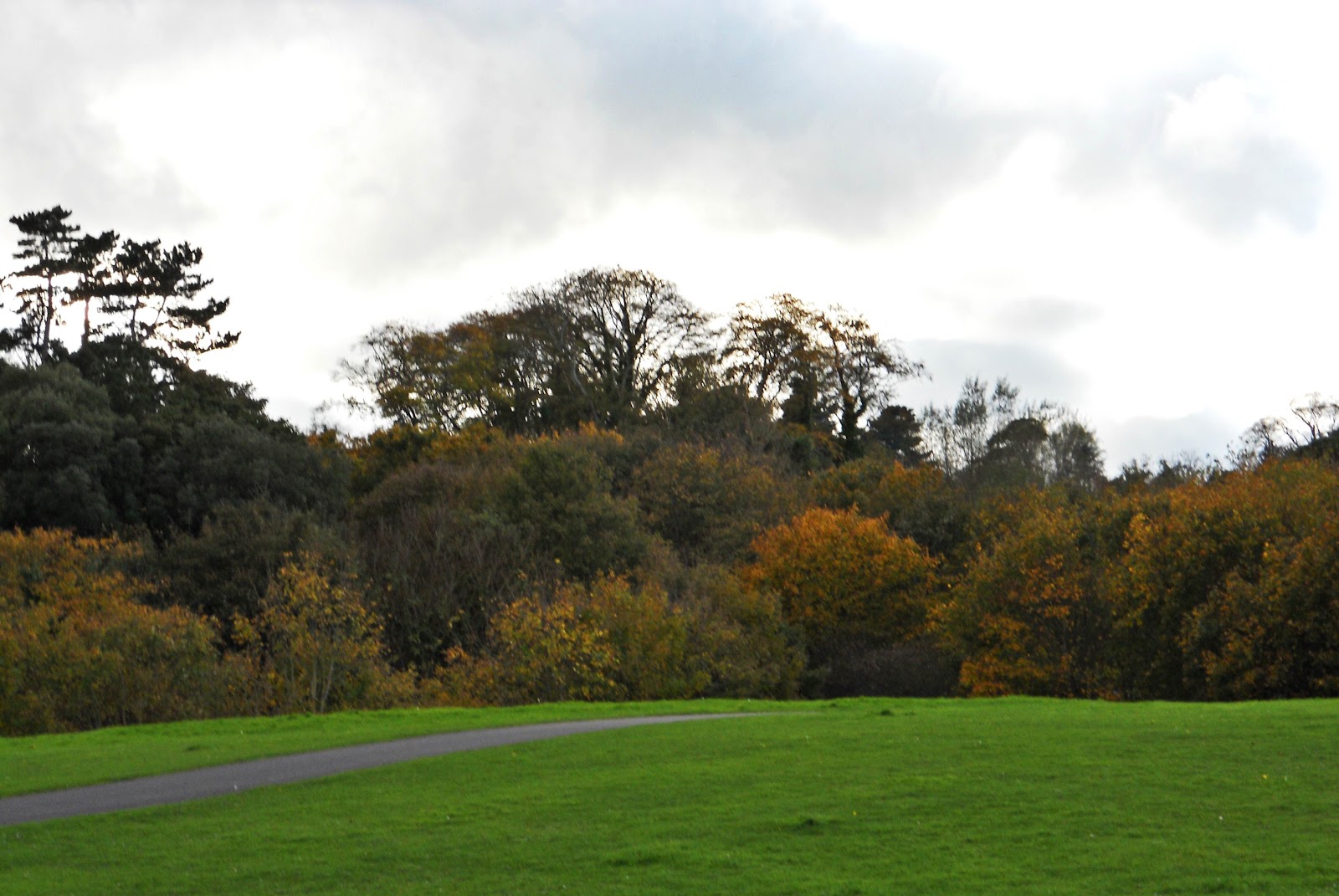 carmen bauer: Crawfordsburn Country Park