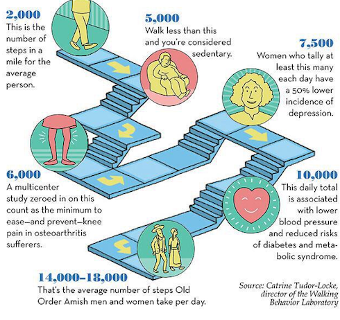 The Sidewalk Ballet: Infographic: benefits of 10,000 steps a day...