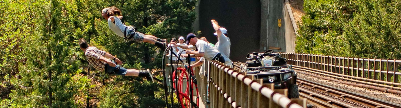 Bungy Jumping: Physics of Bungee Jumping