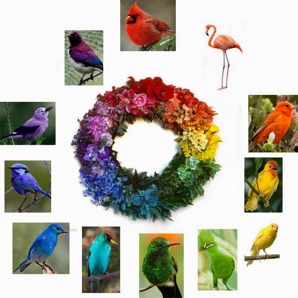 Meera's Design Portfolio: November 2014