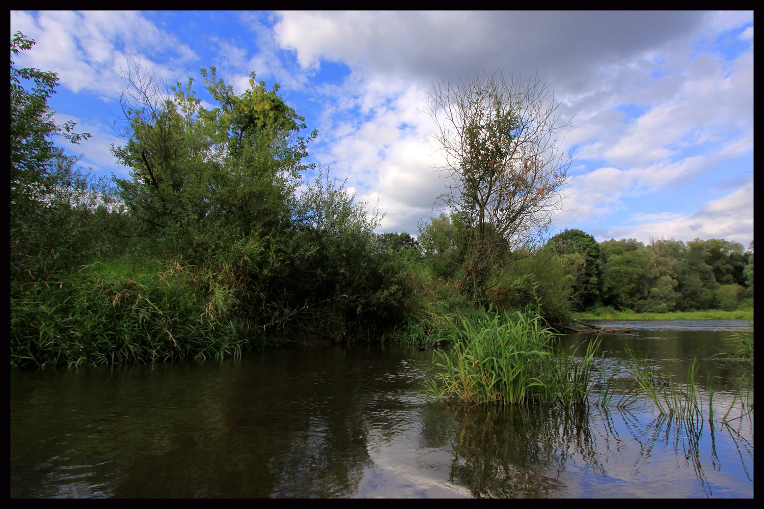 arnika: Na brzegu rzeki... rzeka Warta, Załącze Wielkie | On the bank ...