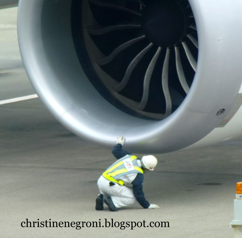 FAA Action on Dreamliner Engine at Warp Speed