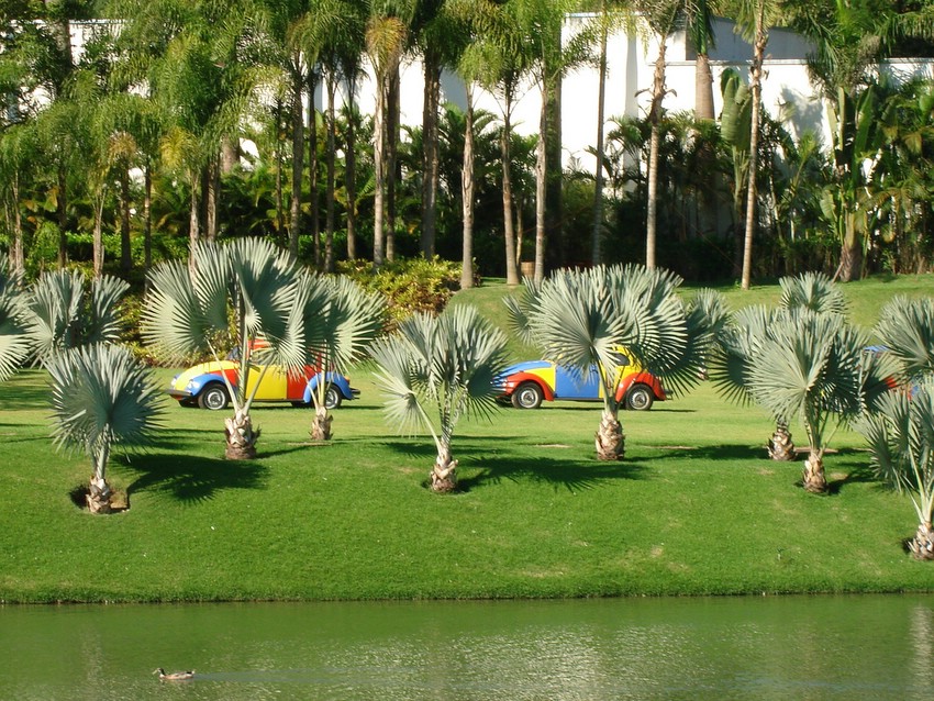 CHIKITA BAKANA: INSTITUTO INHOTIM – ARTE CONTEMPORÂNEA, JARDIM BOTÂNICO