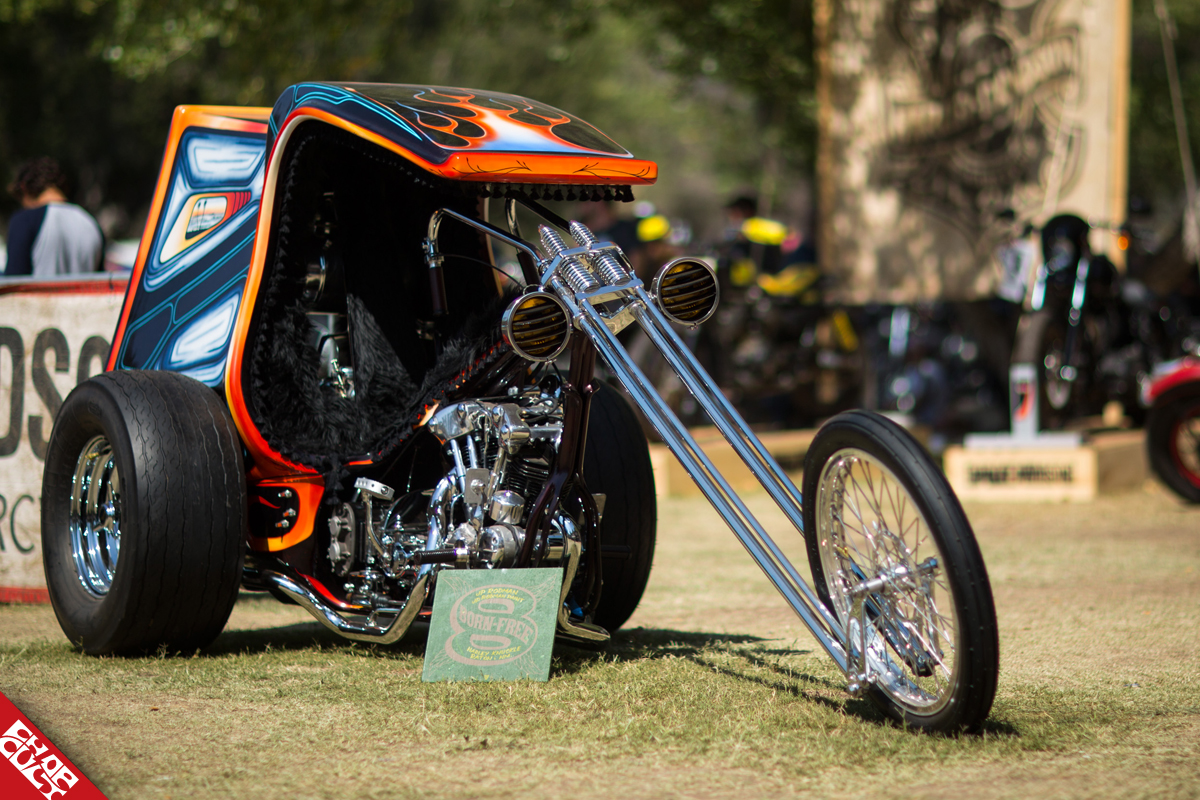 ChopCult: Today's feature: Born-Free 8