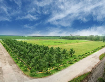 Tagum City: ENERGY PARK