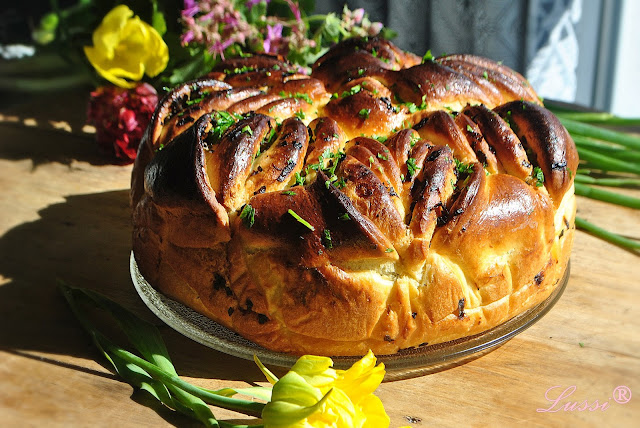 Lussi`s World of Artcraft: Засукана питка с пресен лук / Spring Onion Bread