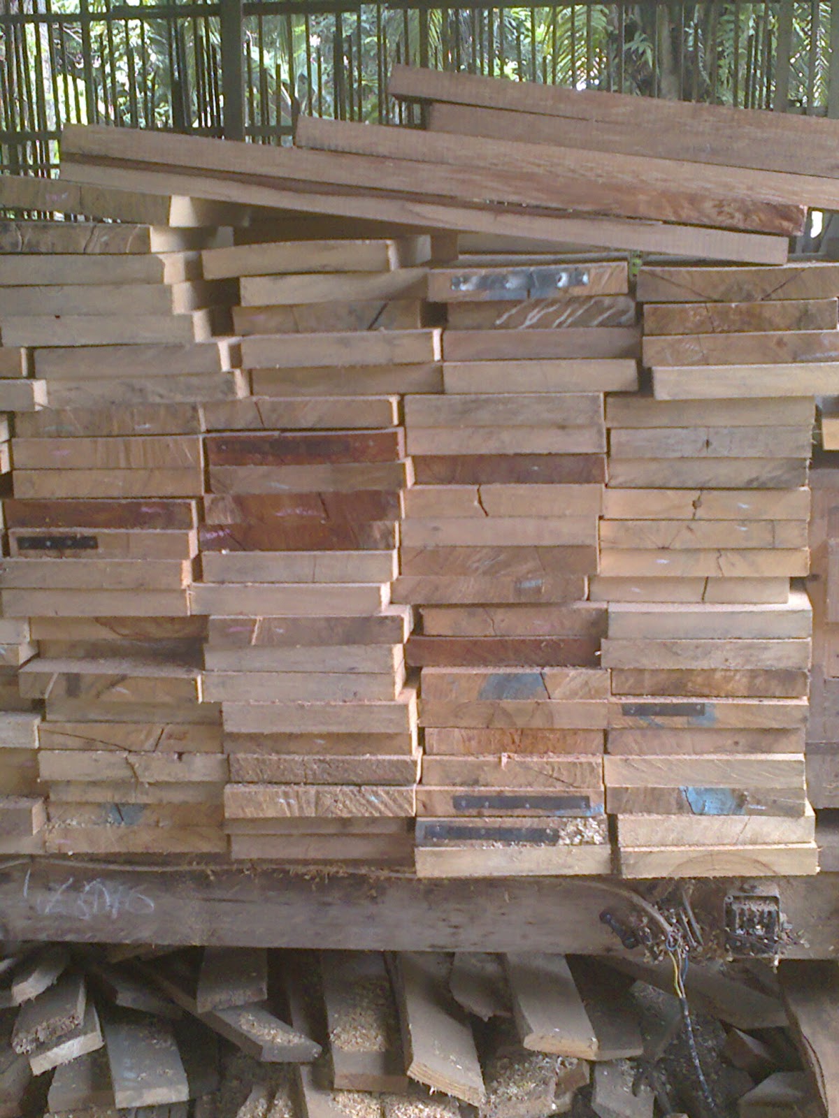 Pasar kayu I Jual beli kayu I Kayu murah I Properti dan meubeller I ...