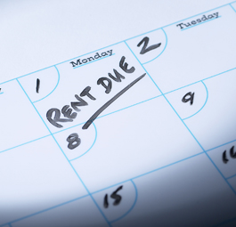 7 Basic Rules for Tenants |True Property Management Melbourne