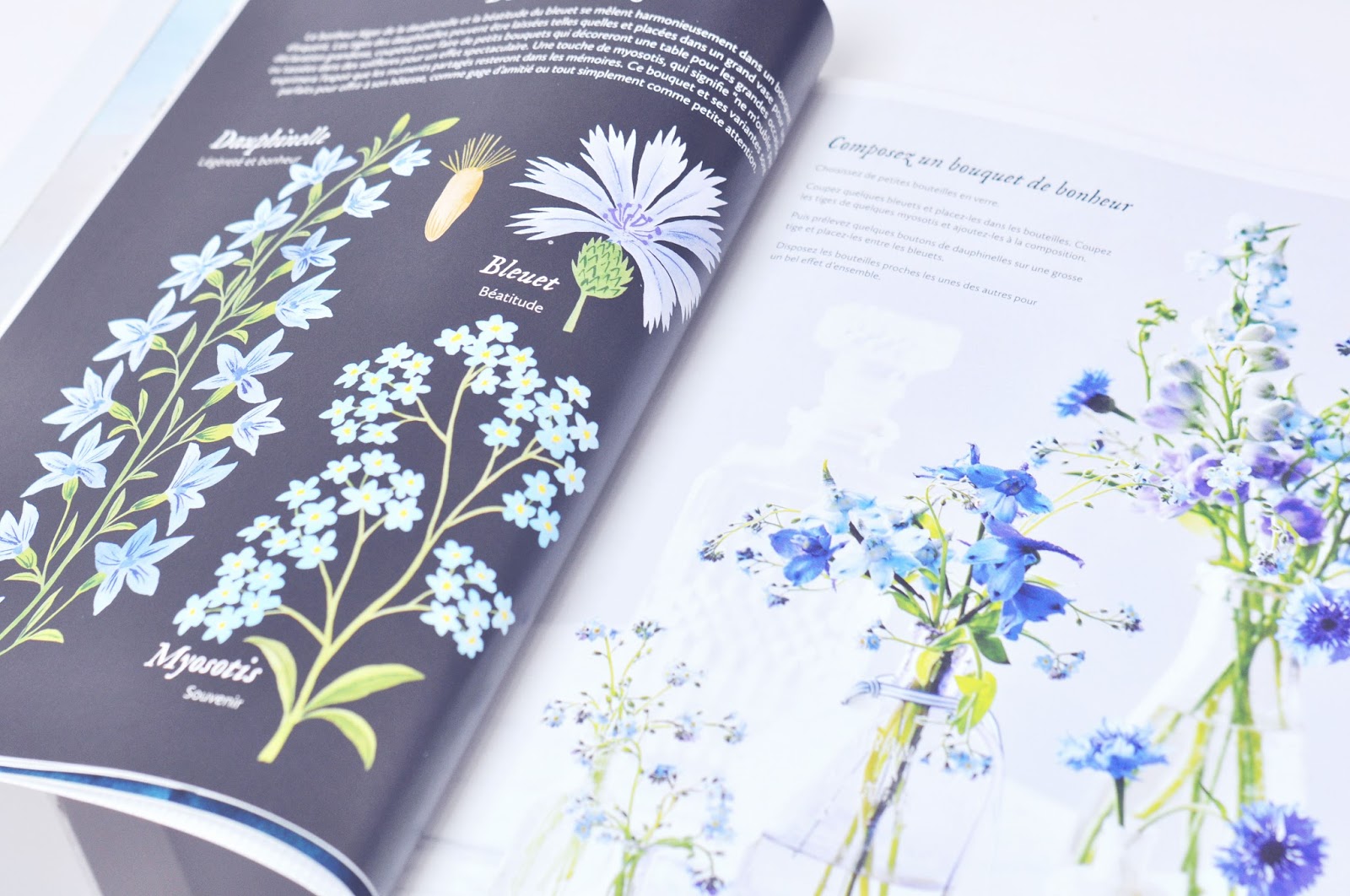 Respire magazine. - Dust & Swallow