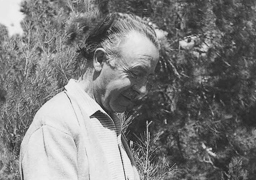 Ponto Pedagógico: UM PASSEIO PELO MUNDO DA PEDAGOGIA FREINET