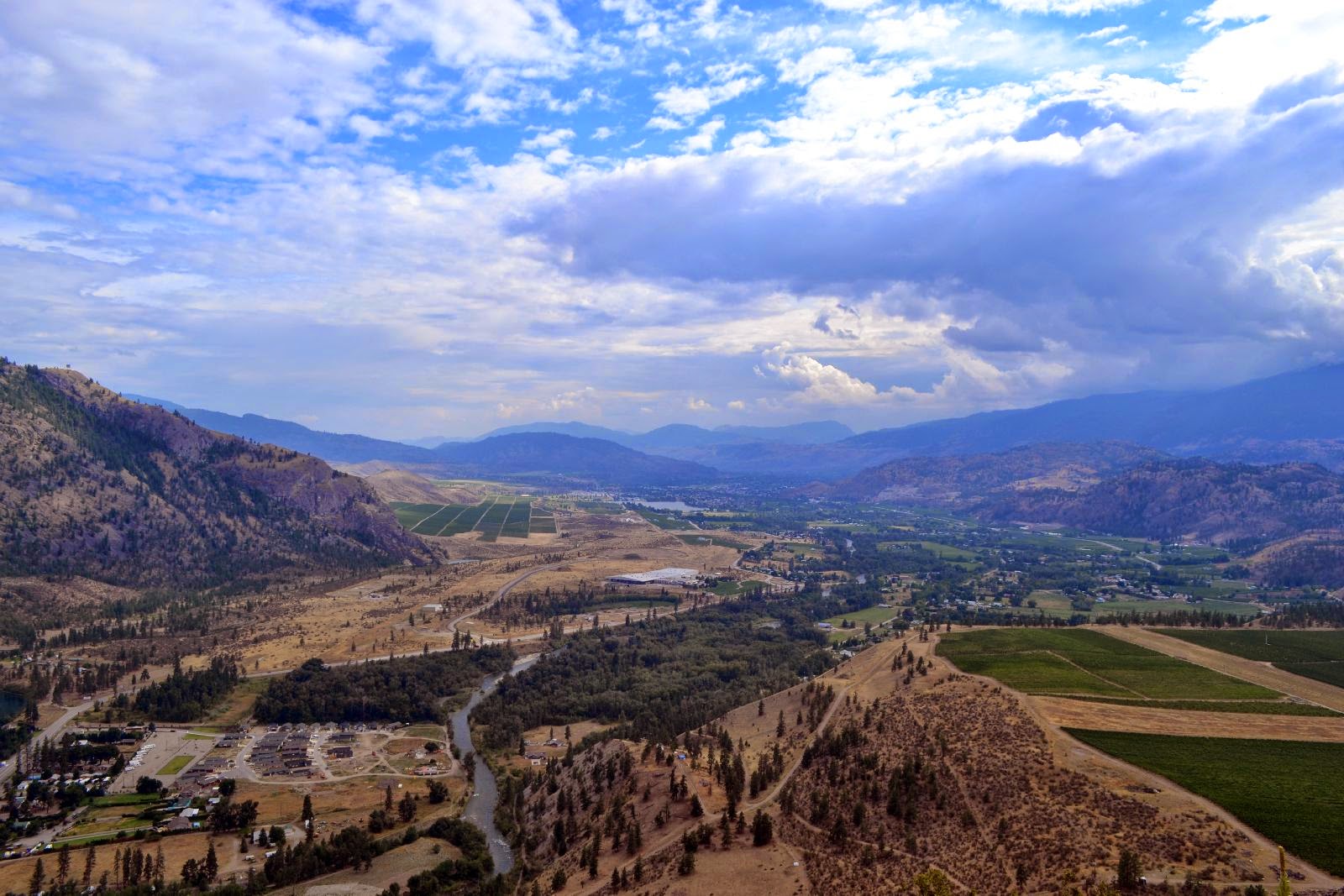 McIntyre Bluff