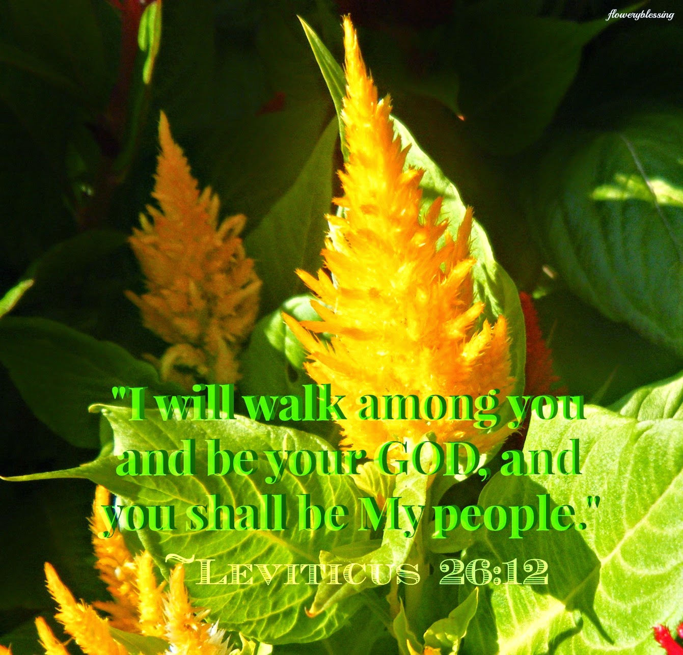 Flowery Blessing: "I will walk among you and be your GOD, and you shall ...