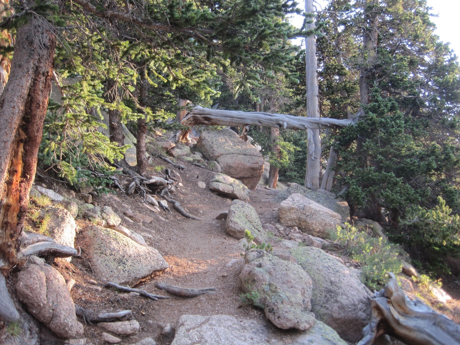 2016 hikes: Pikes Peak summit via Barr trail