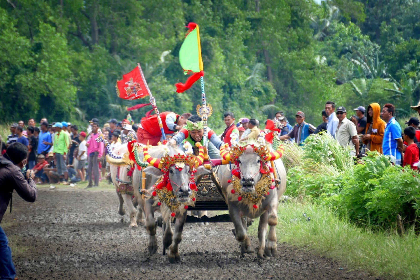 Sums Of Beauty Pekutatan