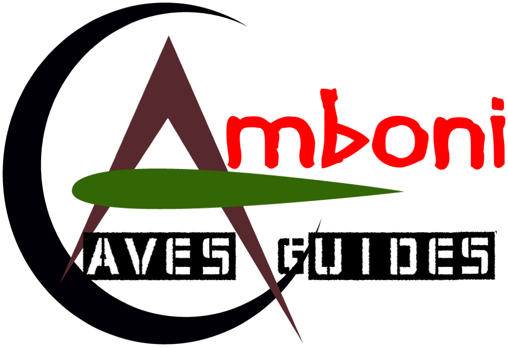 Amboni caves tour ~ Tours and Safaris