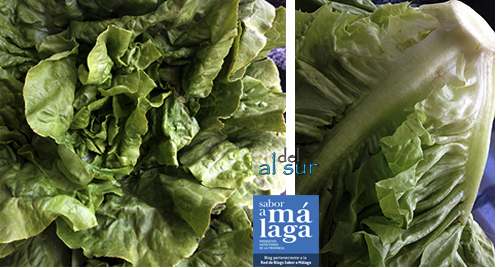 Ensalada de lechuga malagueña en caldo
