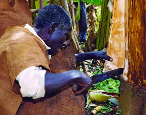 Wrapped In Style: Bark-Cloth