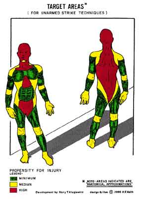 Thai Self-Defense: Target Area of Baton Strike