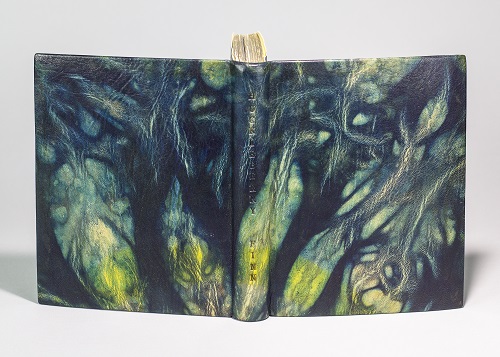 HBC 44: Tribute to Robert Rosenzweig