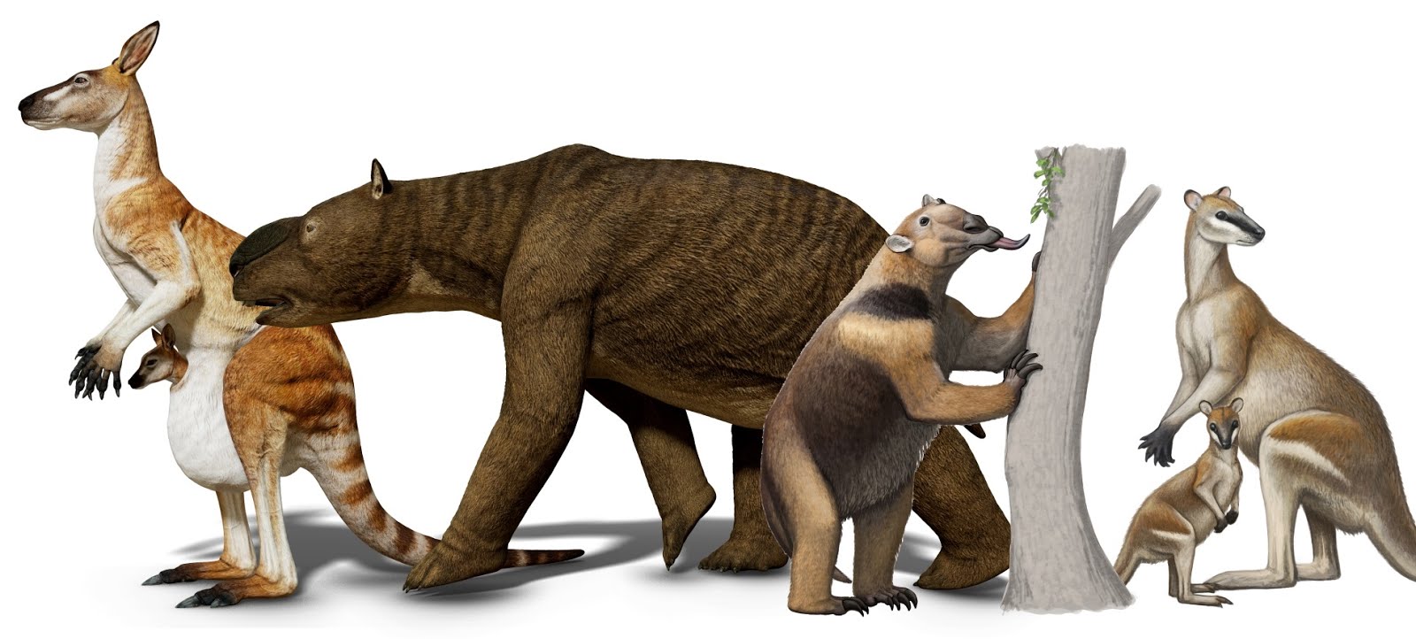 Species New to Science: [Paleontology • 2020] Extinction of eastern ...