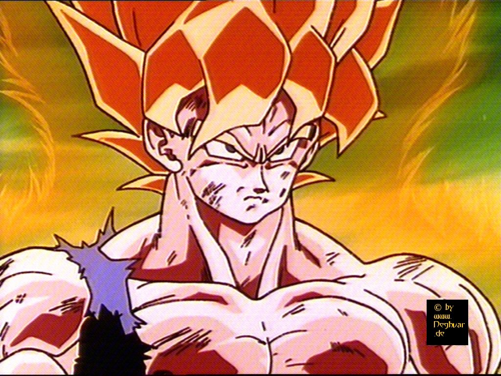 Dragonball: Níveis de Super Sayajins!!!