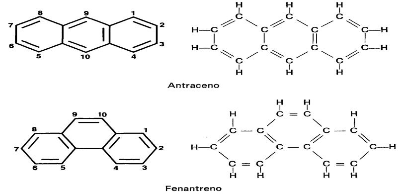 2.2 Heterocíclicos : Los