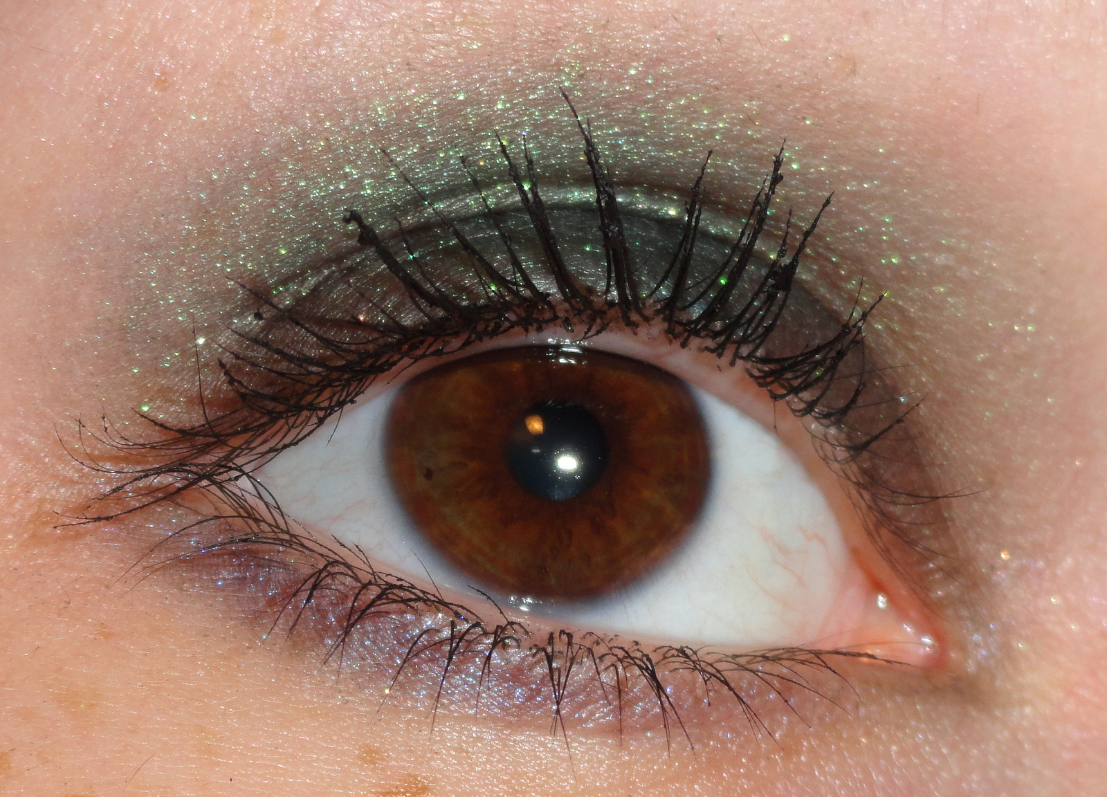 Makeup & Mutts: Iridescent Smokey Eye