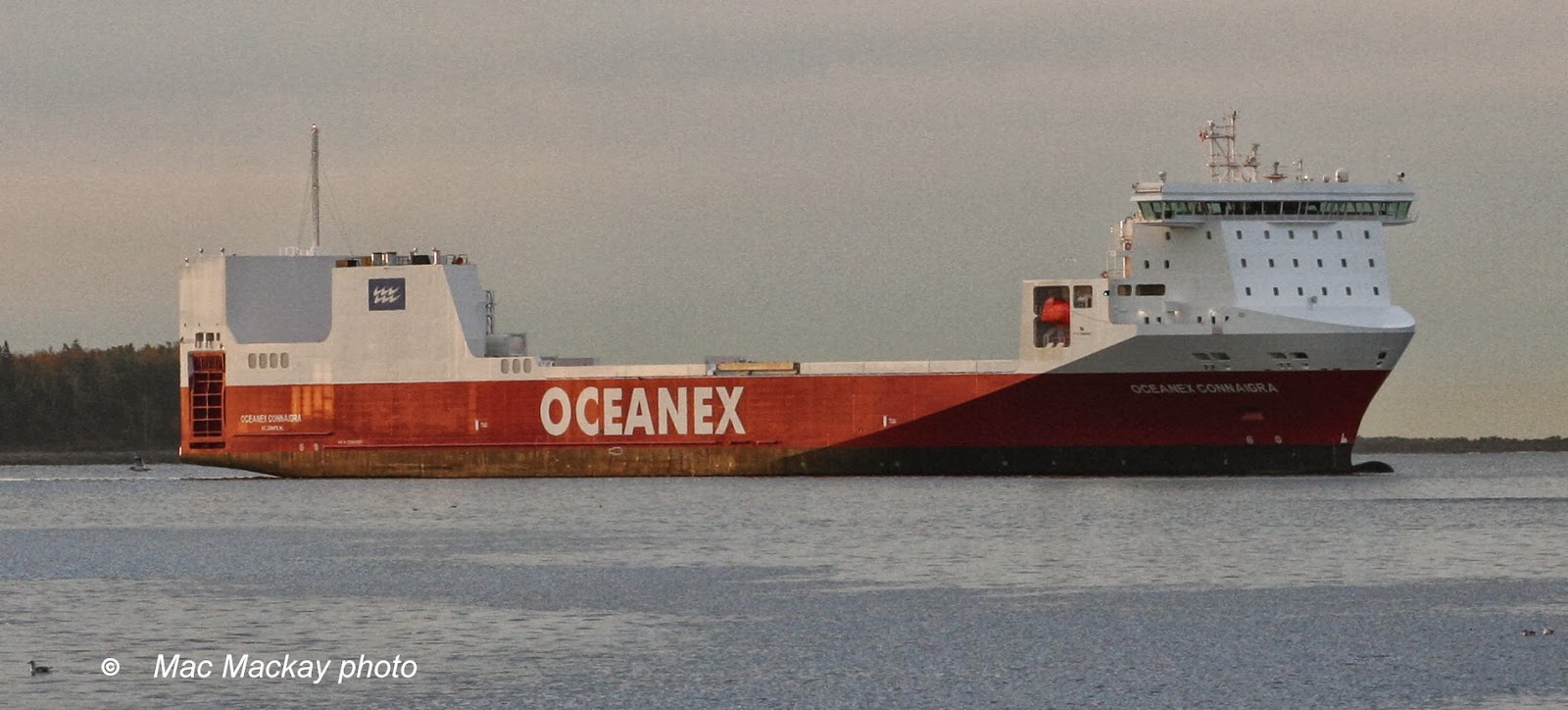 Shipfax: Oceanex Connaigra moves