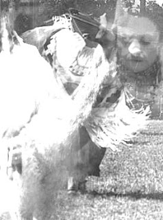 Ghost Haunts of Oklahoma & Urban Legend Investigations: Oklahoma's Deer ...