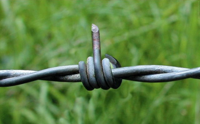 Famille EGGER: La véritable histoire du doigt d’honneur