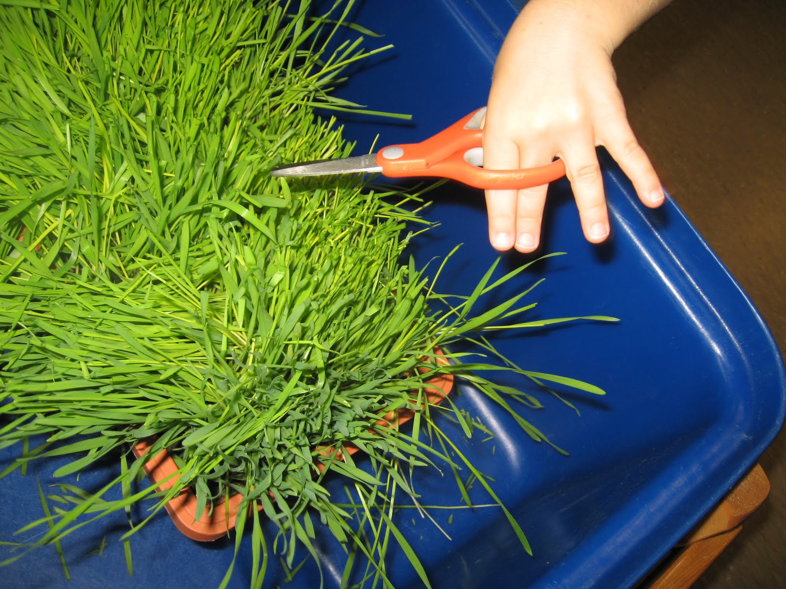 Strongstart Cutting Grass Sensory Tub