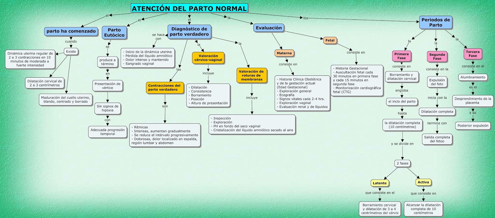 Ginecología y Obstetricia: febrero 2016