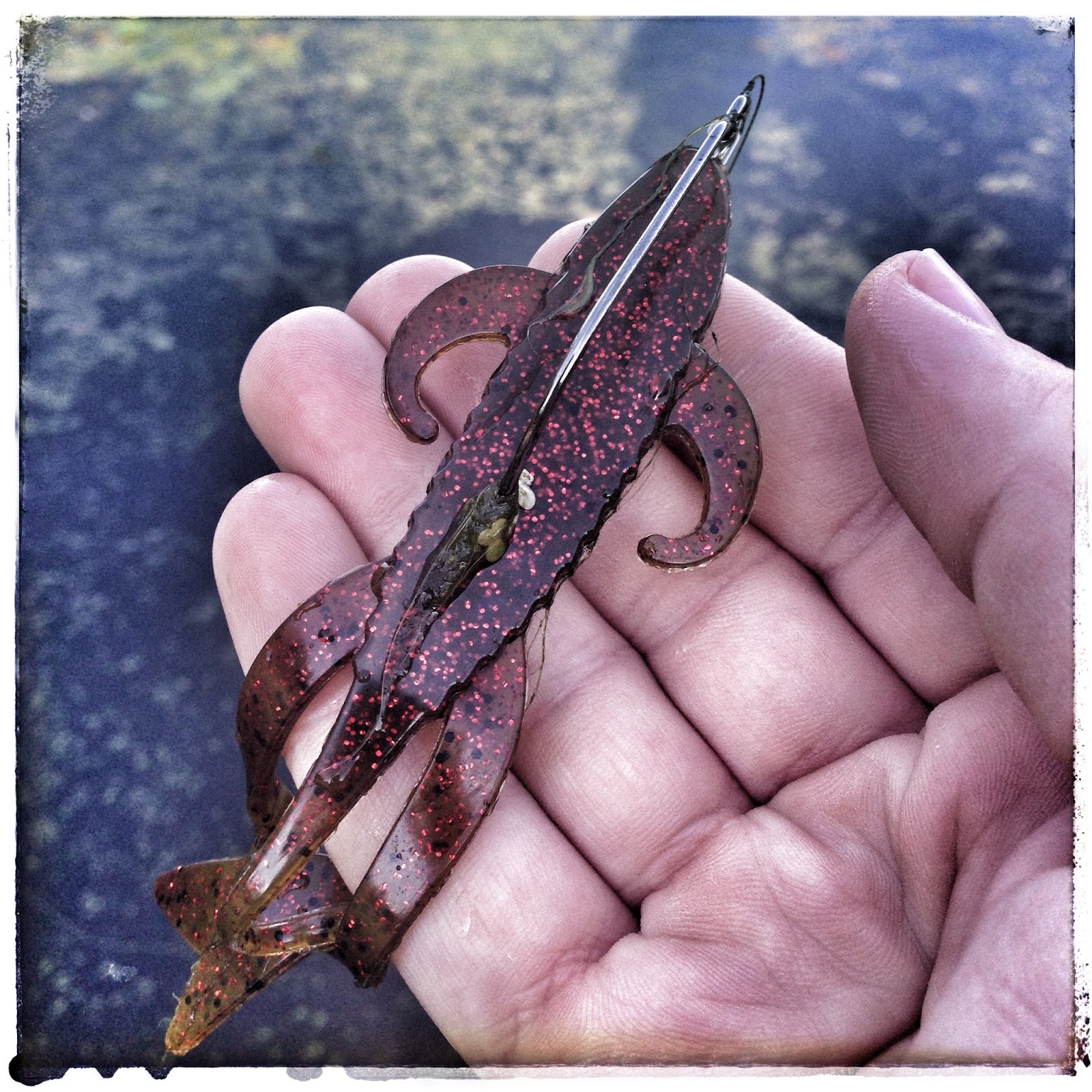 Bass Junkies Frog Pond: Bass Assassin Logger Toad