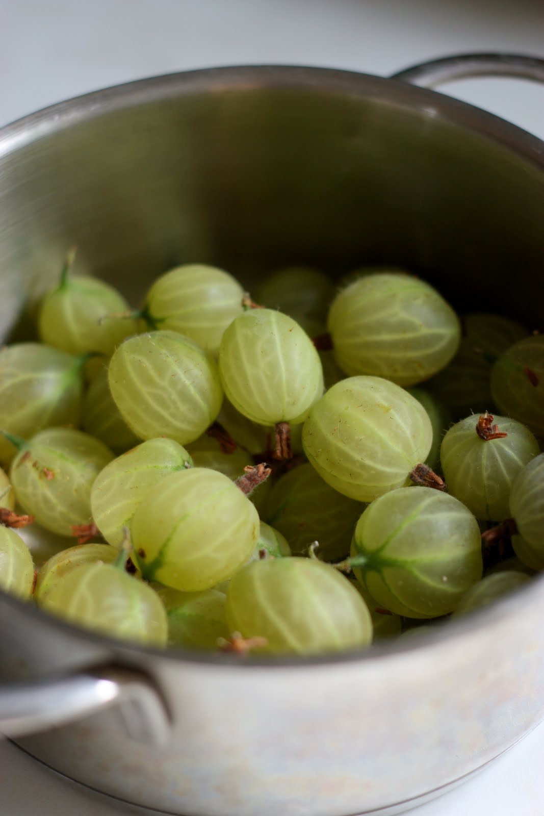 ferske(n)muffins: Stikkelsbærpuré med vispet krem (gooseberry fool).