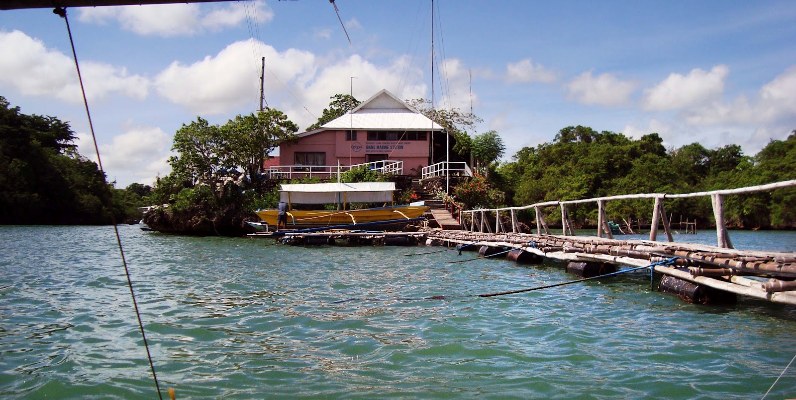 Living with Nature - School on Blog by Dr. Abercio V. Rotor: Have you ...