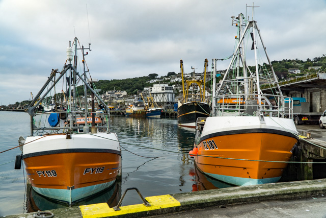 Through the Gaps! - Newlyn Fishing News: Midweek fish on Newlyn fish ...