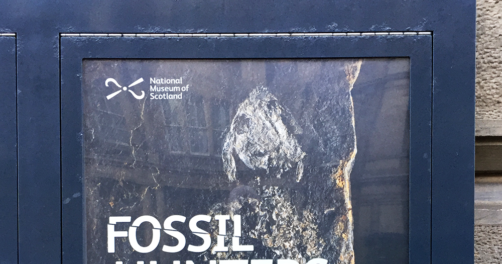 James Brook / Design: Fossil Hunters Banners and Posters