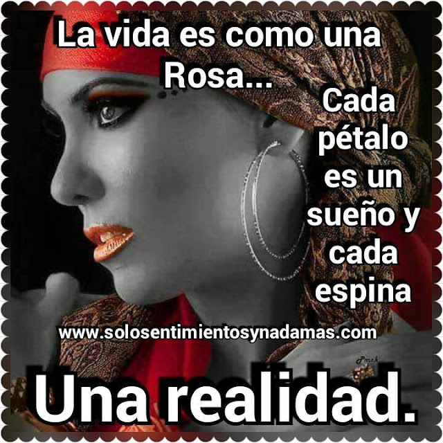 La vida es como una rosa. - Solo sentimientos y nada mas