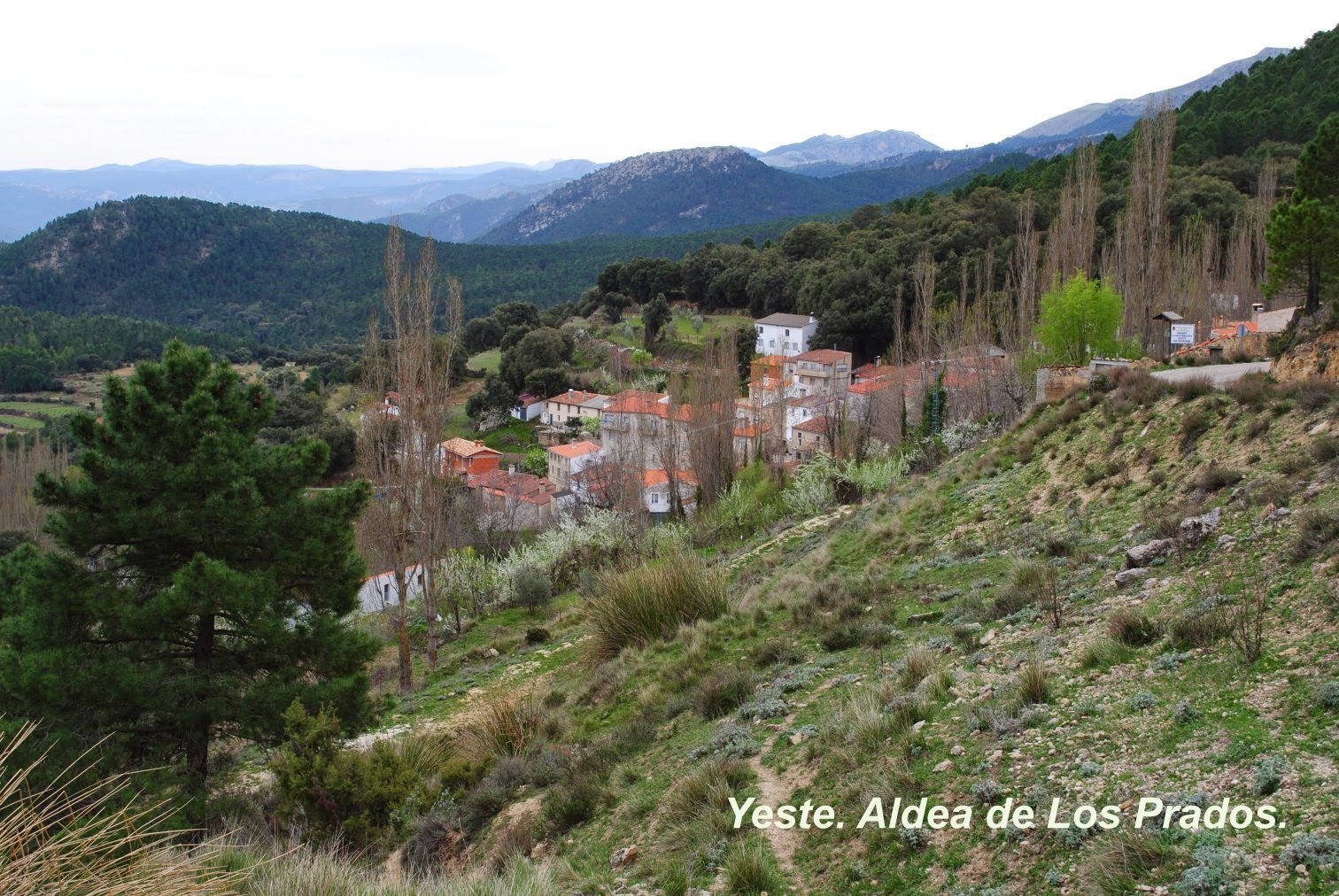 Yeste. Albacete. Paisajes: LOS PRADOS.