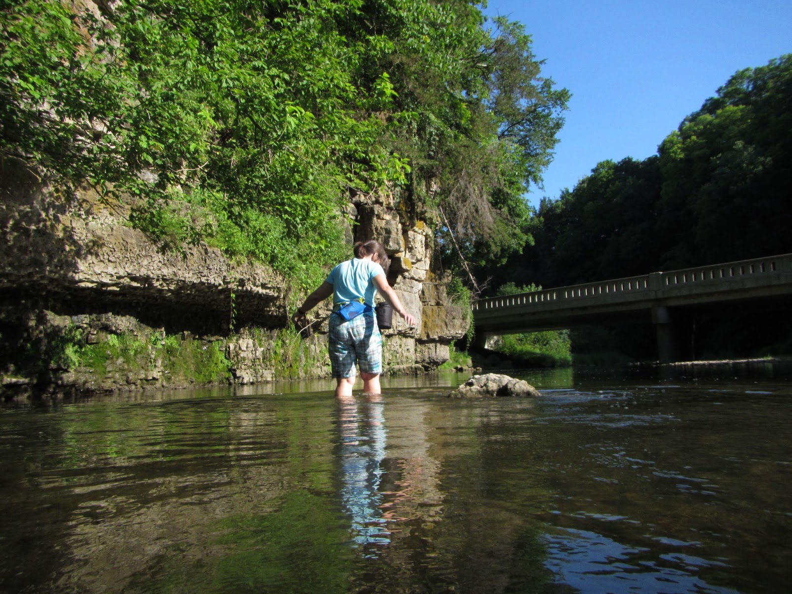 Nomadic Newfies: Wading the River at Apple River Canyon State Park