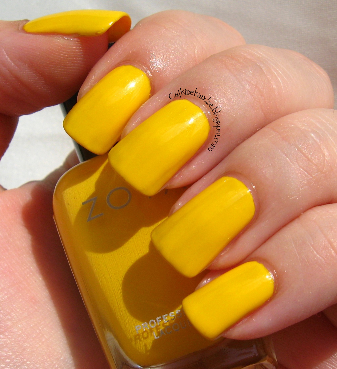 Zoya Darcy | Cajkine kandže i sve njihove boje